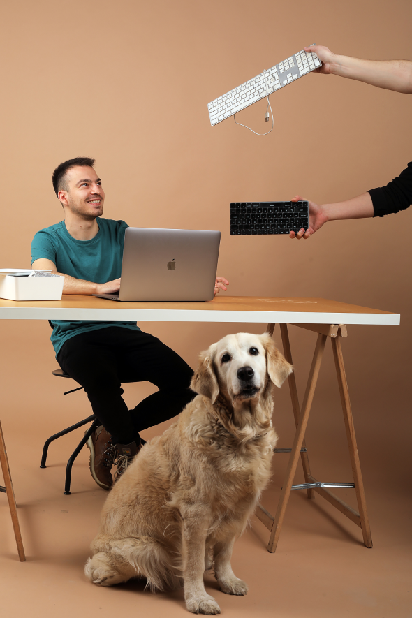 LambdaWorks – Odsek za informatiku